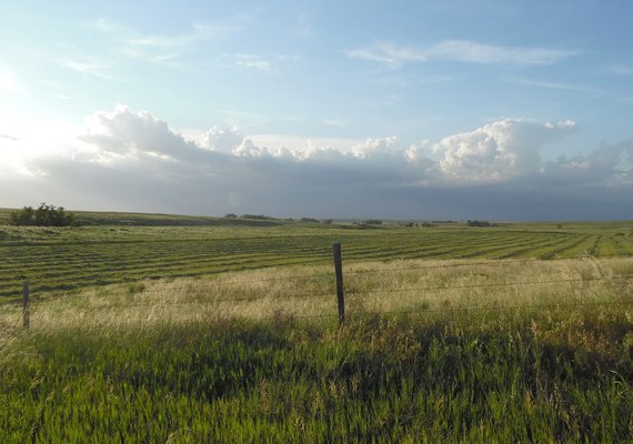 About Us – CHEYENNE COUNTY, KS